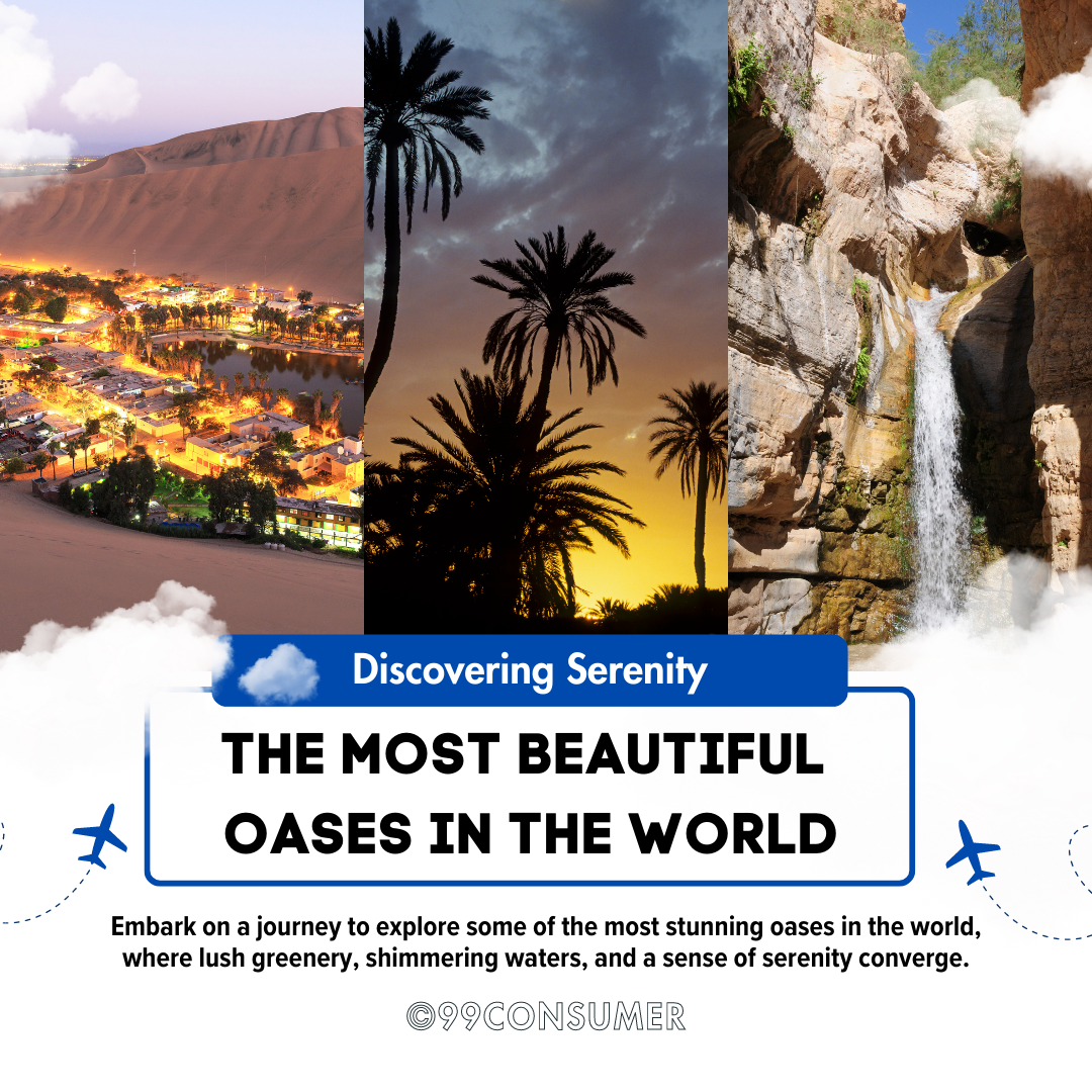 Discovering Serenity: The Most Beautiful Oases in the World – 99Consumer